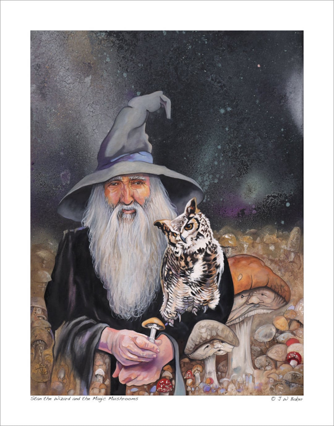 Wizard and Owl - "stan the Wizard and the Magic Mushrooms" - Fantasy ...