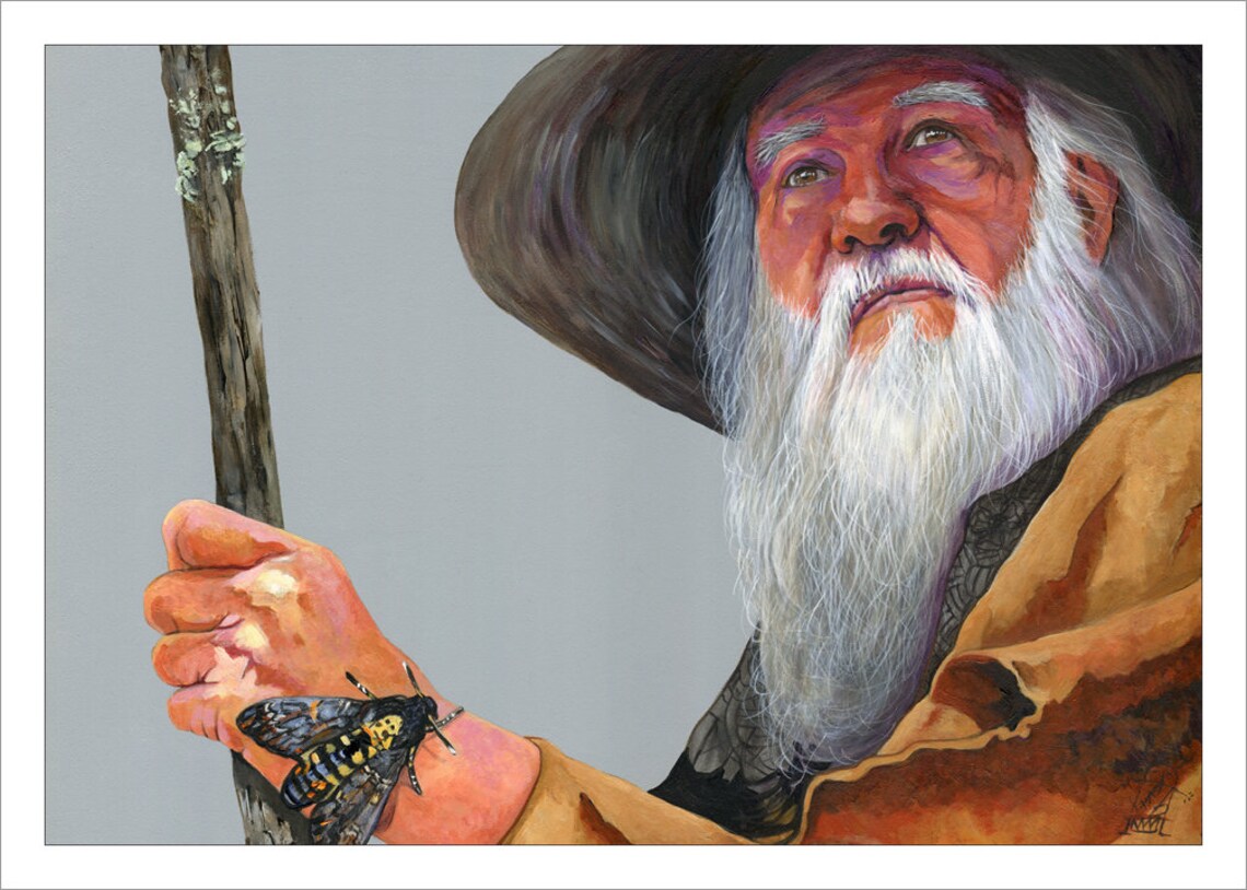 Ephemeral - 5" X 7" Fantasy Art Note Card Set - (4) Cards Included - Etsy