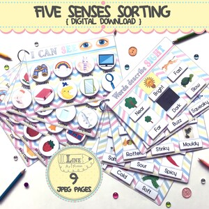 Five Senses Sorting Activity Cards. Body Puzzle. Body Parts - Etsy