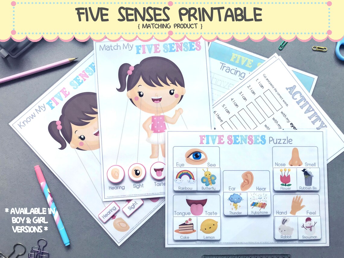 Five Senses Sorting Activity Cards. Body Puzzle. Body Parts - Etsy