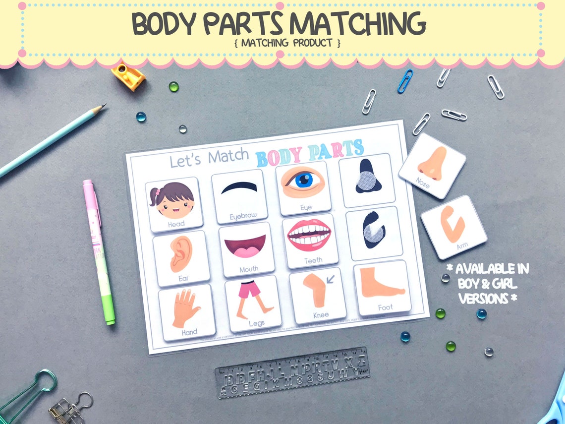 Five Senses Sorting Activity Cards. Body Puzzle. Body Parts - Etsy