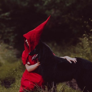 Red Witch Wizard Hat | Gnome Hood | Felted Pointy Hood | MADE TO ORDER ...