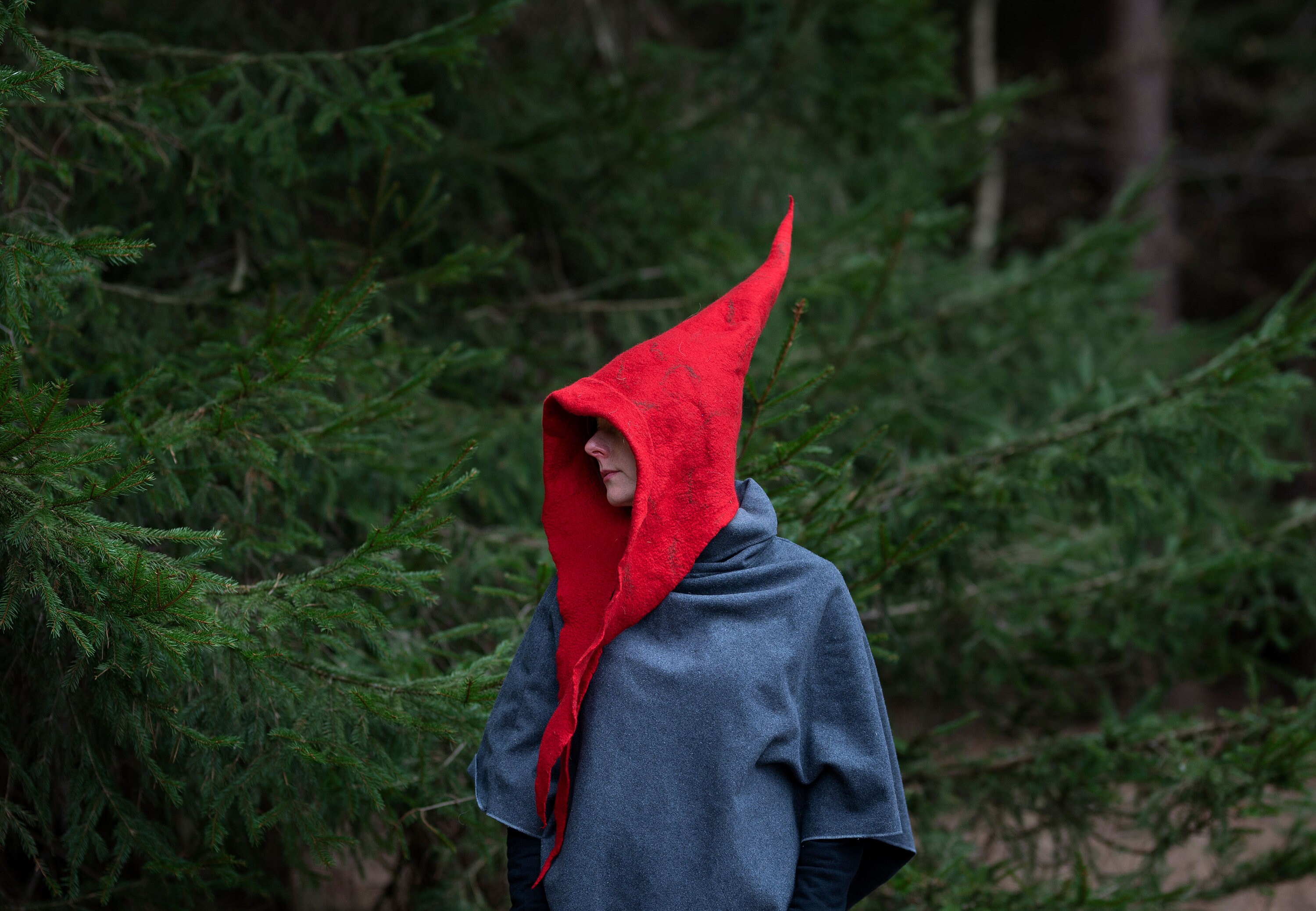 Red Witch Wizard Hat Gnome Hood Felted Pointy Hood - Etsy Australia