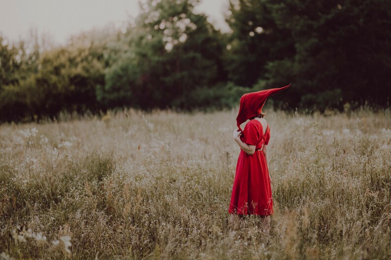 Red Witch Wizard Hat Gnome Hood Felted Pointy Hood - Etsy