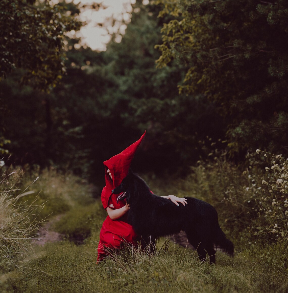 Red Witch Wizard Hat Gnome Hood Felted Pointy Hood - Etsy