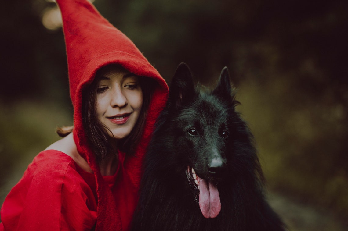 Red Witch Wizard Hat Gnome Hood Felted Pointy Hood - Etsy