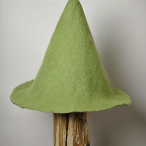 Hand-felted Merino Wool Snufkin Hat | Moomins Cosplay, Forest Green - Etsy