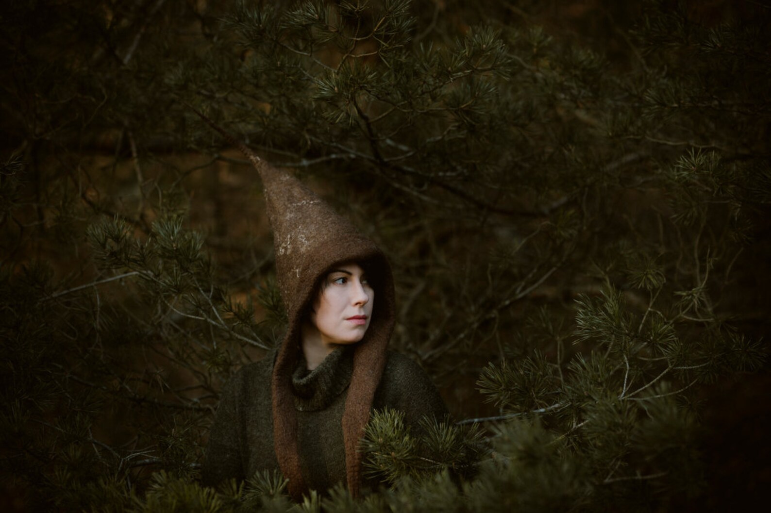 Fantasy Druid Hat Gnome Hat Felted Pointy Costume Hat MADE - Etsy