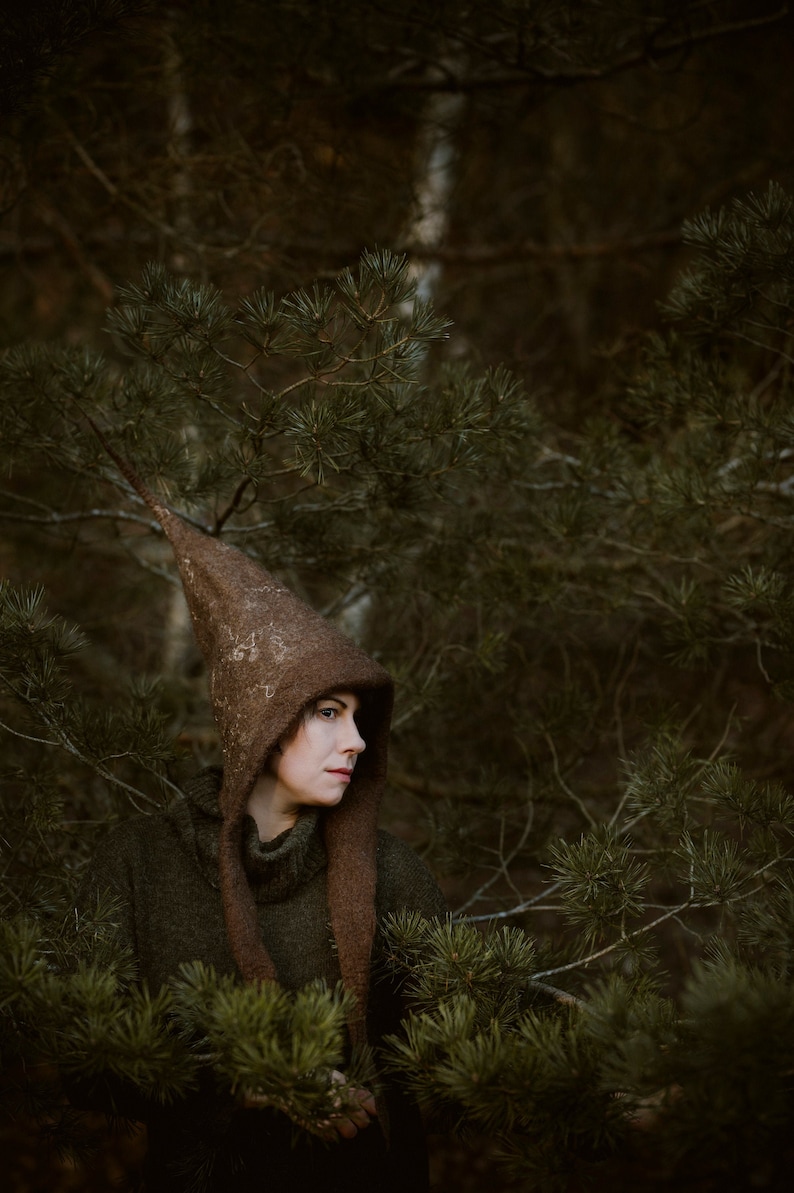 Fantasy Druid Hat Gnome Hat Felted Pointy Costume Hat MADE - Etsy