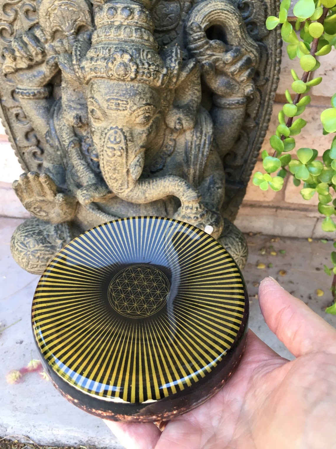 Large Orgone ASG Charging Disc With a Flower of Life - Etsy