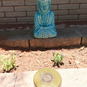 Large Orgone ASG Charging Disc With a Flower of Life, Rhodizite ...