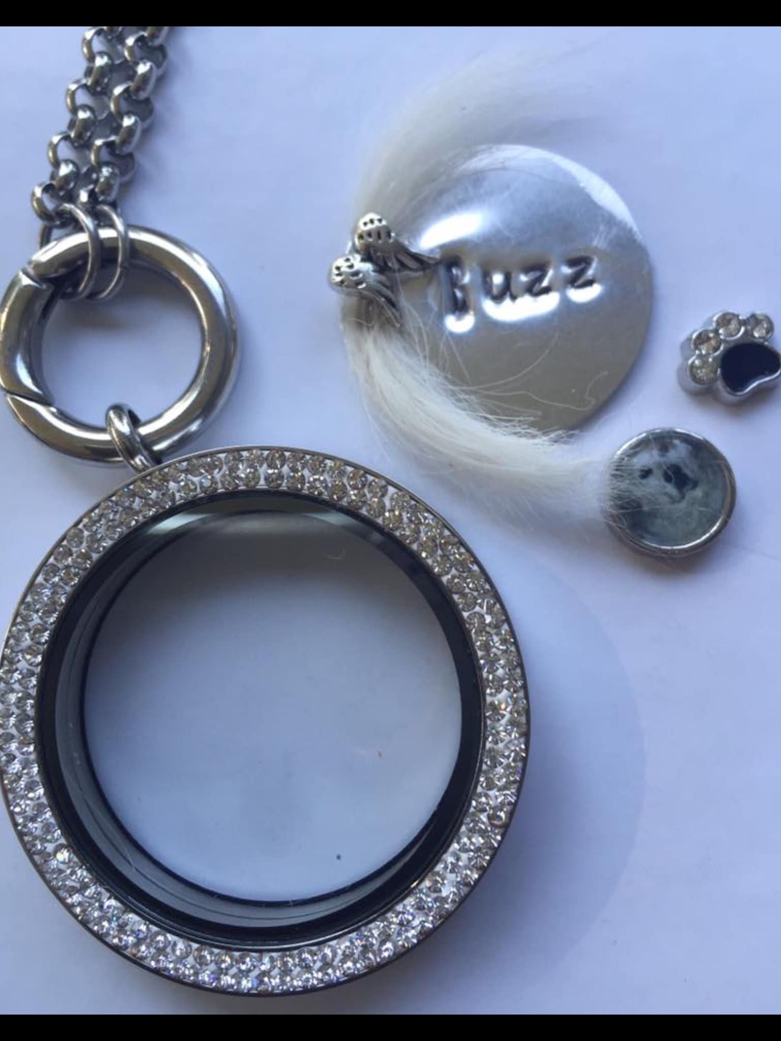 Rainbow bridge lock of fur necklace pet memorial floating locket ...