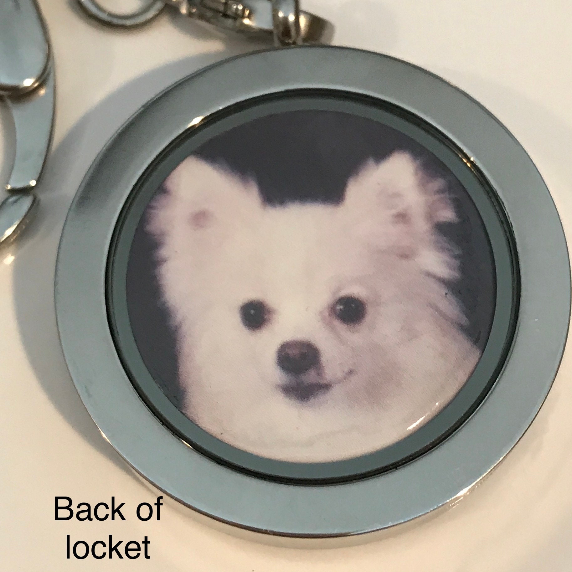 Rainbow bridge lock of fur necklace pet memorial floating locket ...