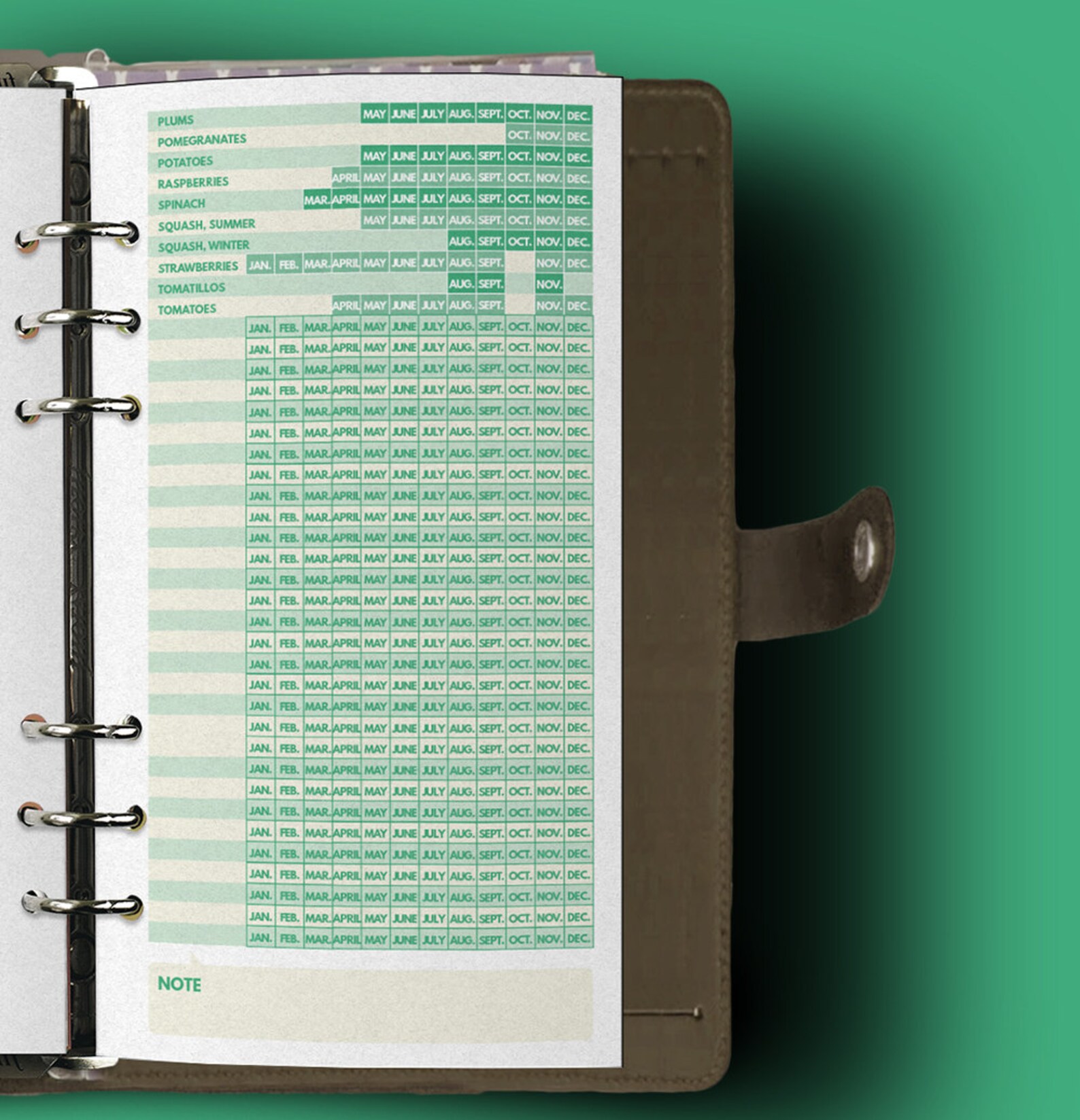 Seasonal Produce Guide for Healthy Eating Personal Size | Etsy