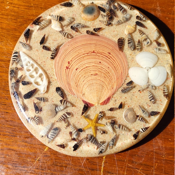 Shell Souvenir - Etsy