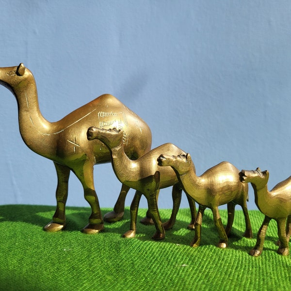 Miniature Camel - Etsy