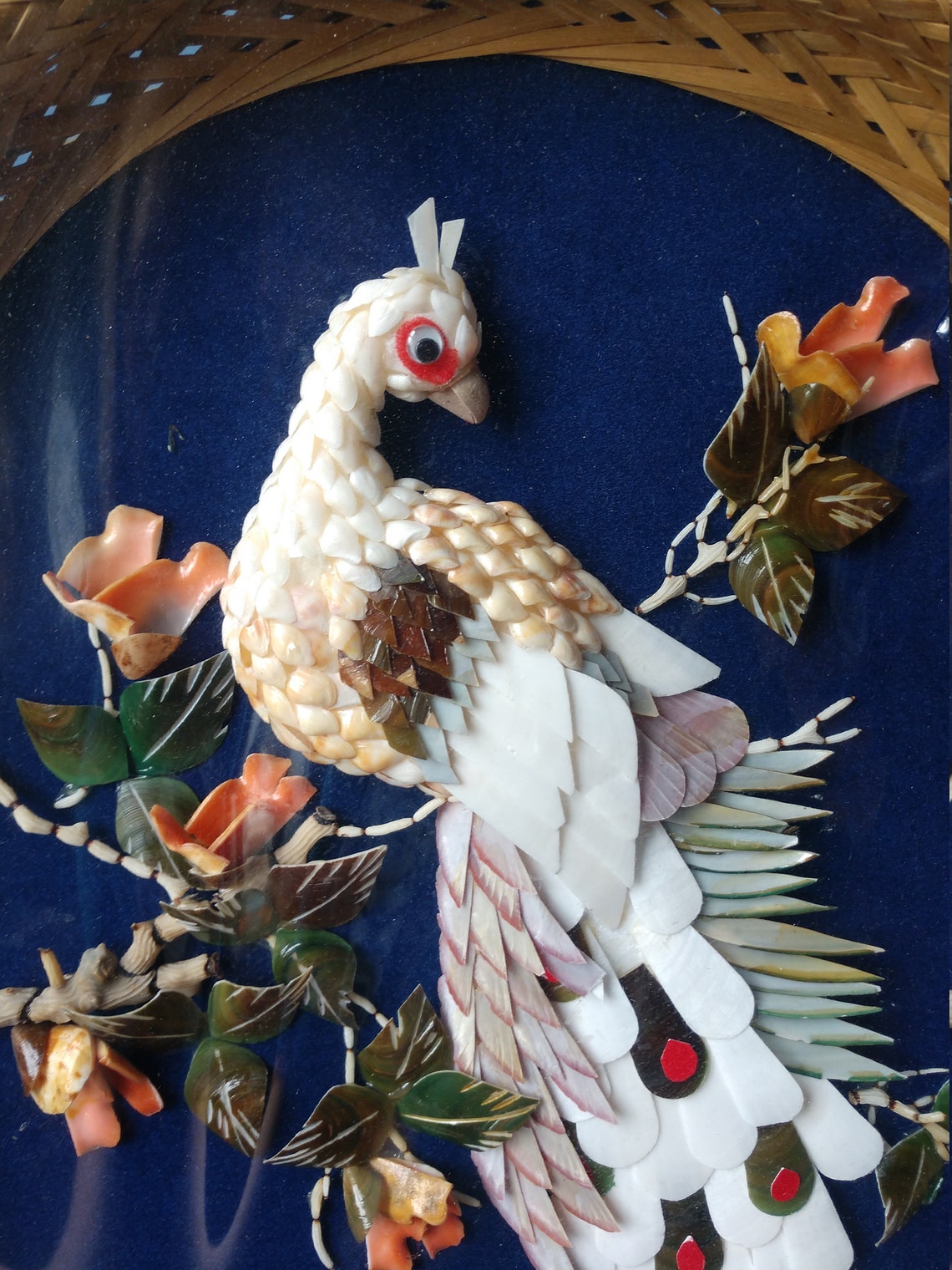 Vintage Peacock Shell Art with Tree Flowers. Round Framed | Etsy