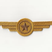 Pilot Wings, Multiple Sizes - Etsy