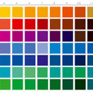 Texas State Patch! Any Color! Custom Made! AP2 - Etsy