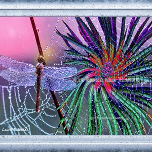 Believe in Magic, Ethereal Dragonfly Art - Etsy