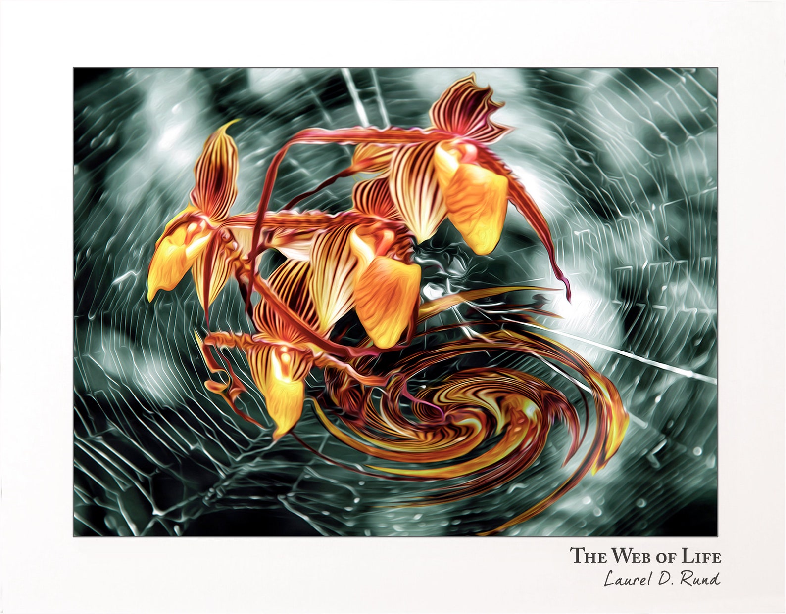 The Web of Life is Meant to Be Inspirational and Surreal. A Spider Web ...