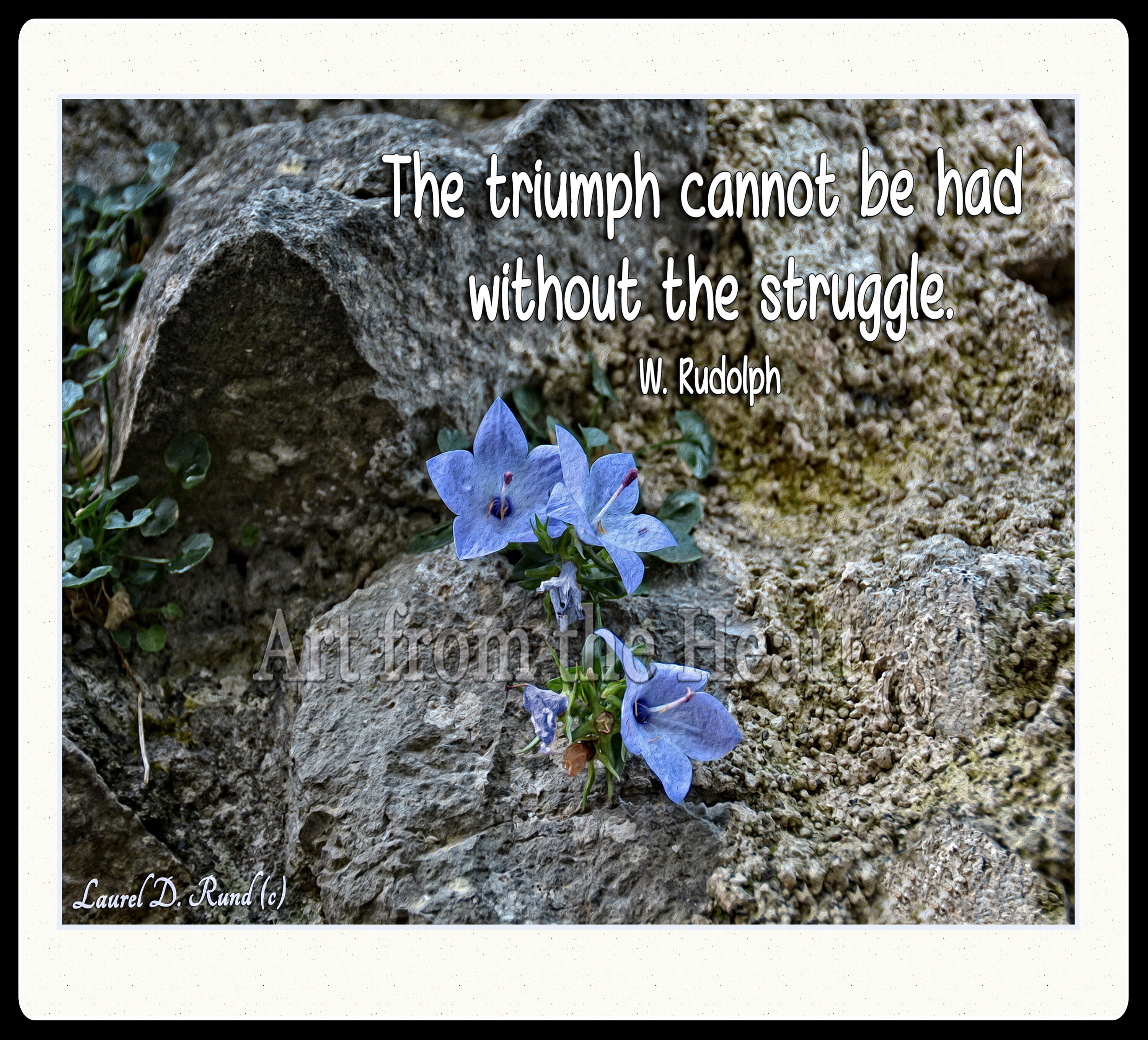 The Triumph, Blue Flowers, Rocks With Flowers, Courage Quote, Hope ...