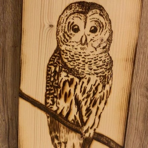 Barred Owl Wood Burning - Pyrography - Woodburning - Etsy