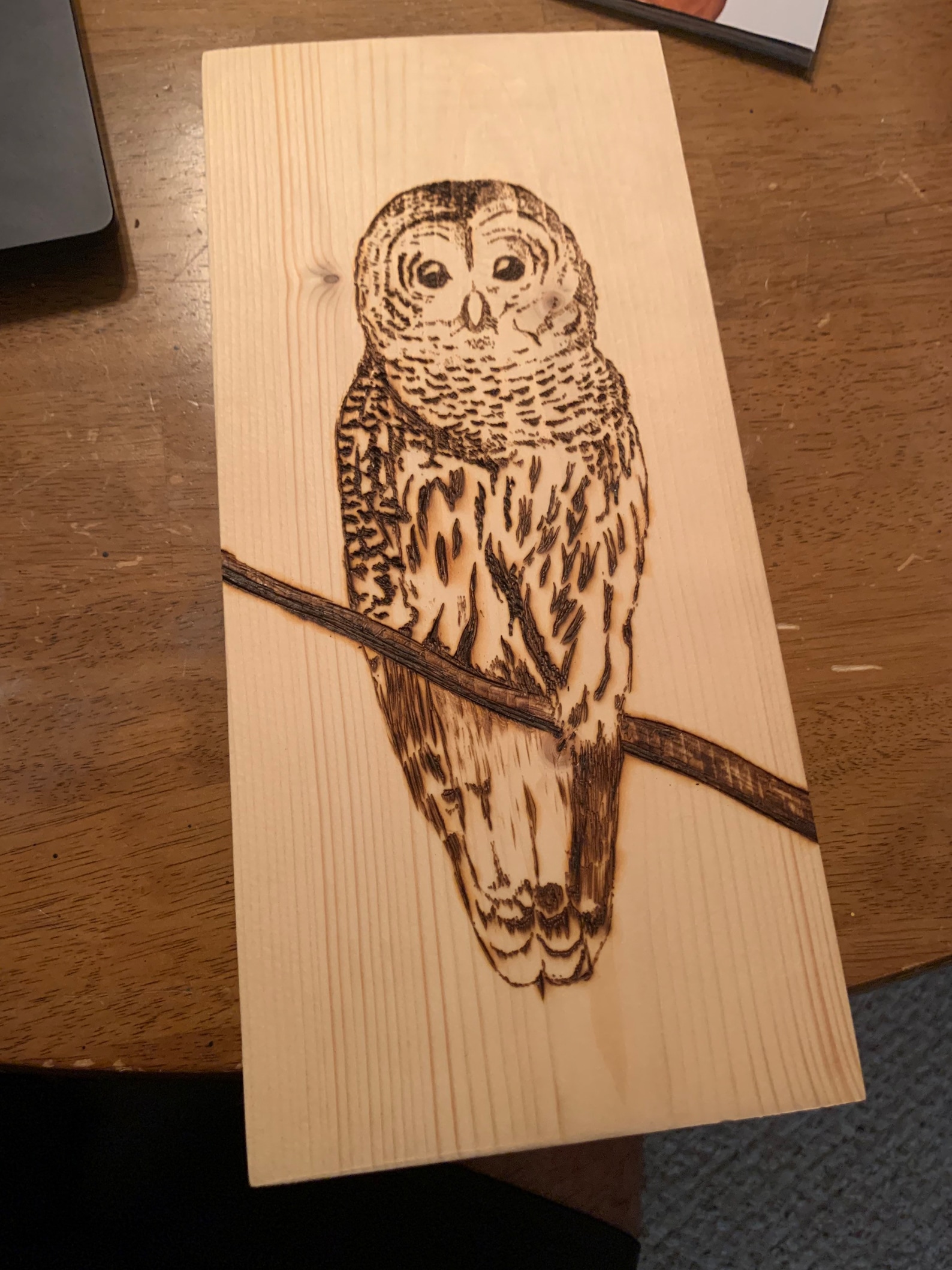 Barred Owl Wood Burning - Pyrography - Woodburning - Etsy
