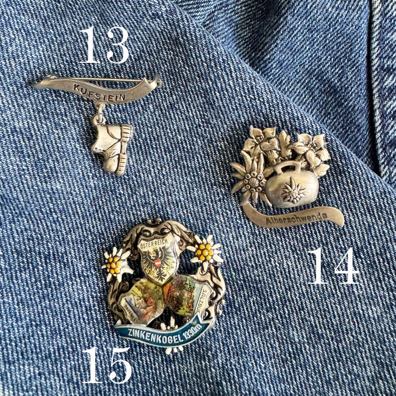 Vintage Enamel Tyrolean Hat Pins: Bavarian Alpine Brooch - Etsy