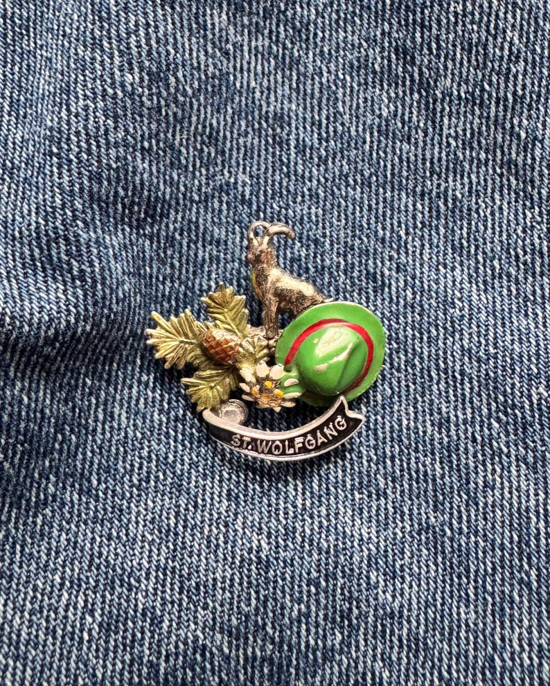 Vintage Tyrolean Hat Pins: Enamel Alpine Brooch, German Souvenir - Etsy