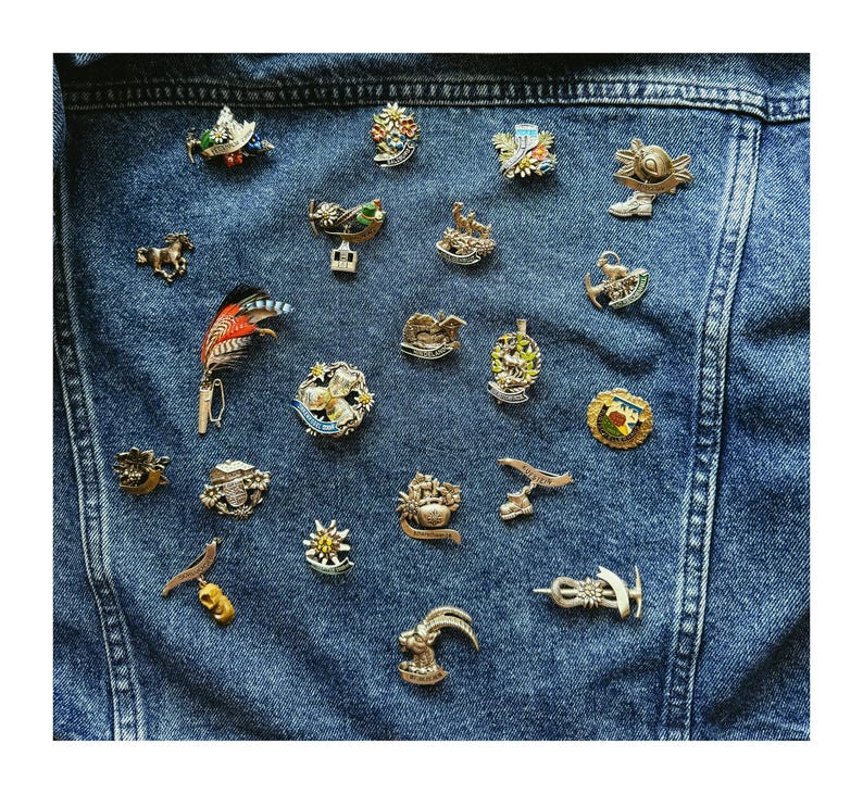 Vintage Enamel Tyrolean Hat Pins: Bavarian Alpine Brooch - Etsy
