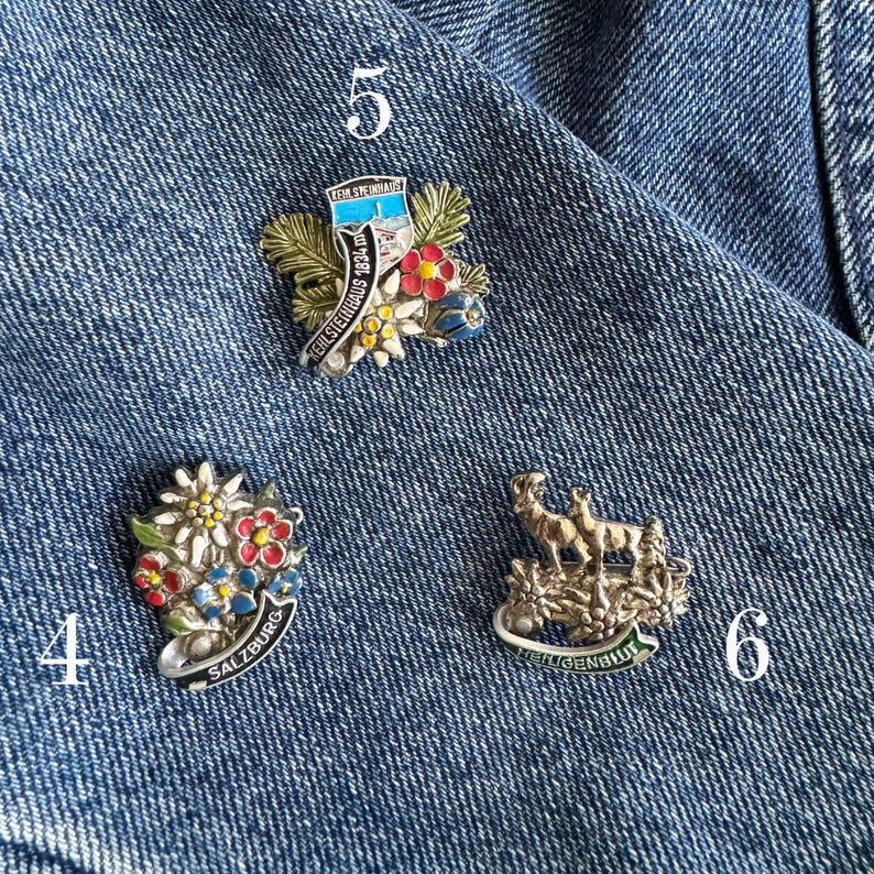 Vintage Enamel Tyrolean Hat Pins: Bavarian Alpine Brooch - Etsy