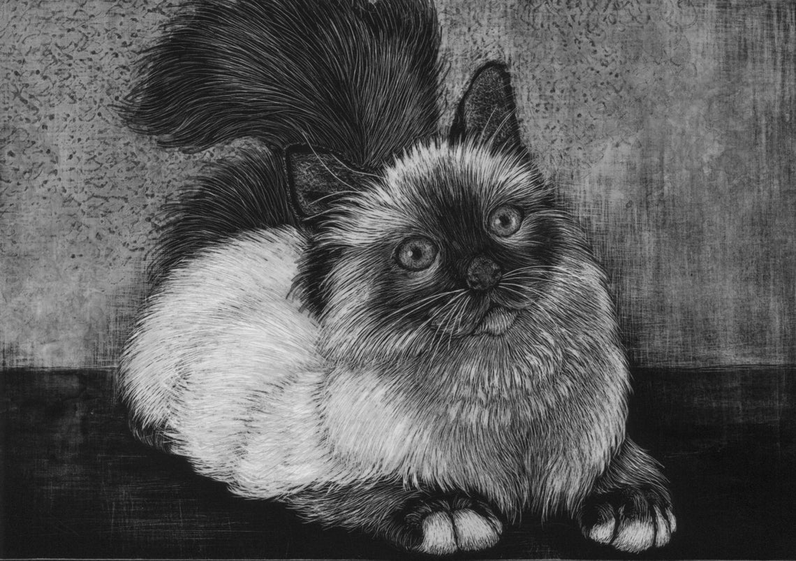 Custom Scratchboard Pet Portrait: Dogs, Cats, Birds, Any Animal 8" X 10 ...