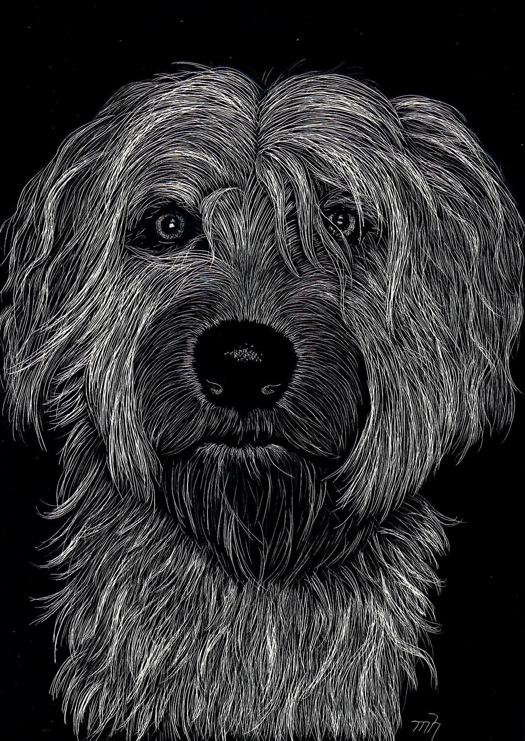Custom Scratchboard Pet Portrait: Dogs, Cats, Birds, Any Animal 5 X 7 ...