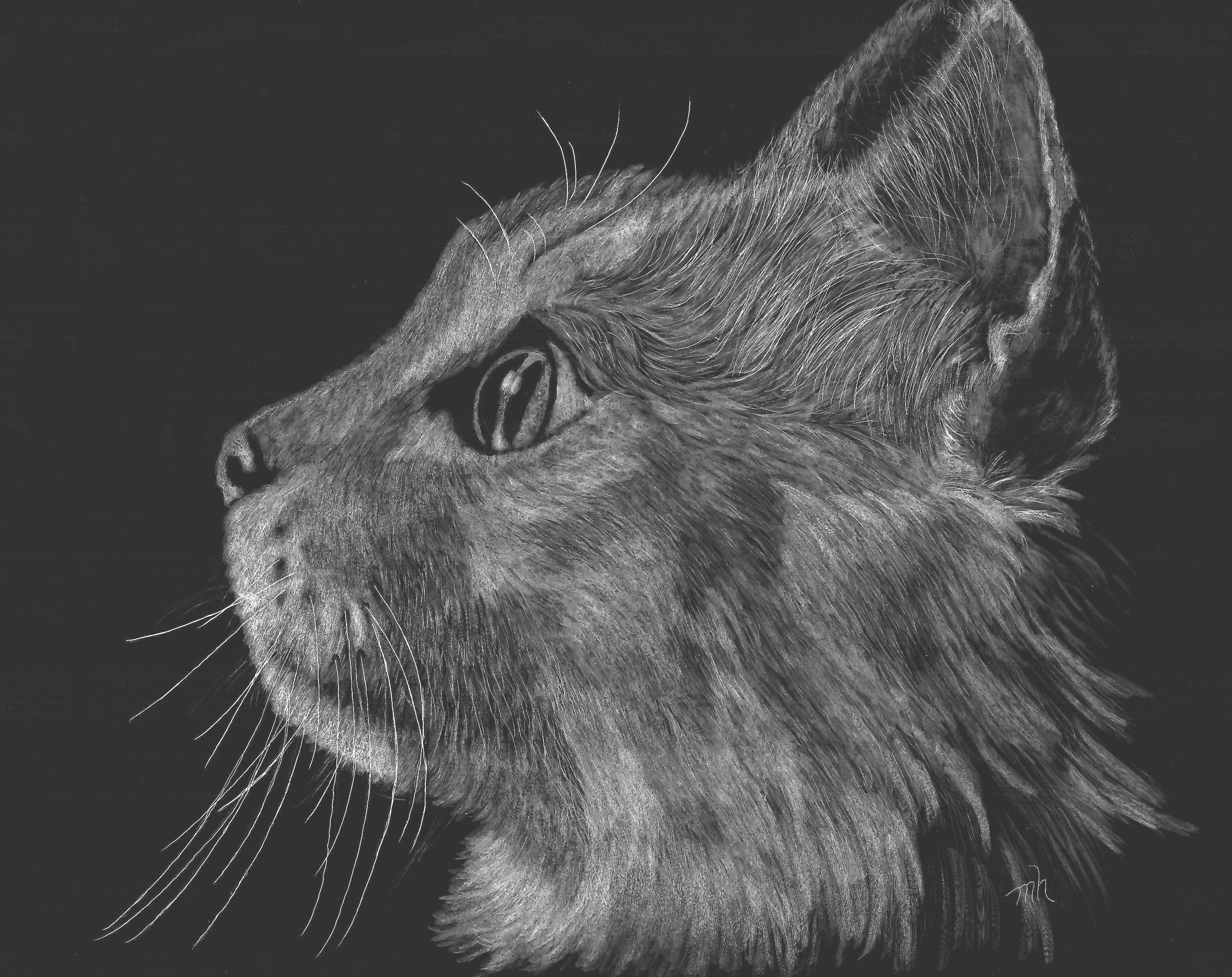 Easy Scratchboard Art