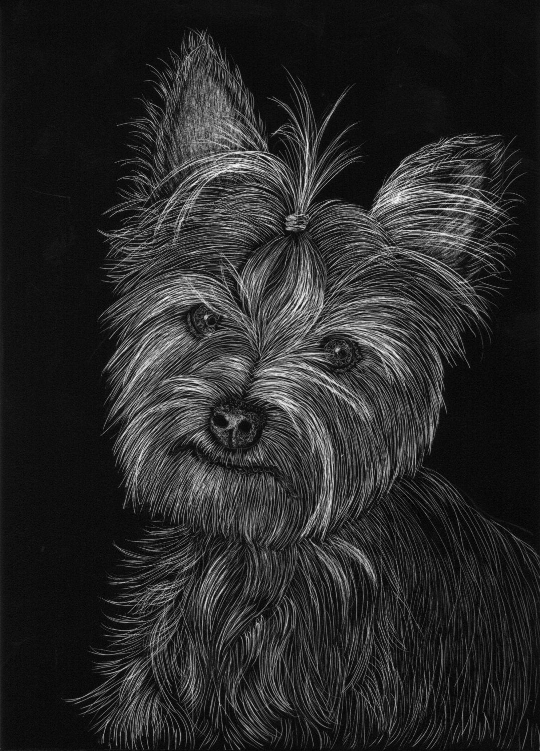 Custom Scratchboard Pet Portrait: Dogs, Cats, Birds, Any Animal 8" X 10 ...