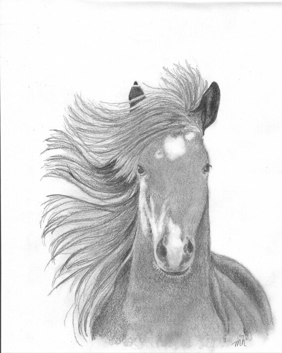 Wild Mustang Horse 8 X 10 Pencil Drawing - Etsy