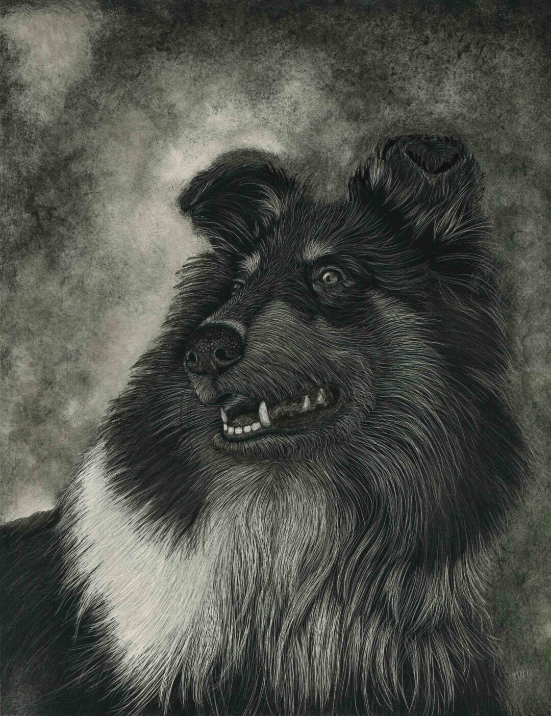 Custom Scratchboard Pet Portrait: Dogs, Cats, Birds, Any Animal 8" X 10 ...