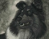 Custom Scratchboard Pet Portrait: Dogs Cats Birds Any - Etsy