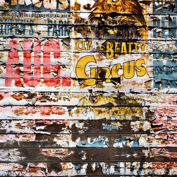 Circus Wall Mural - Etsy