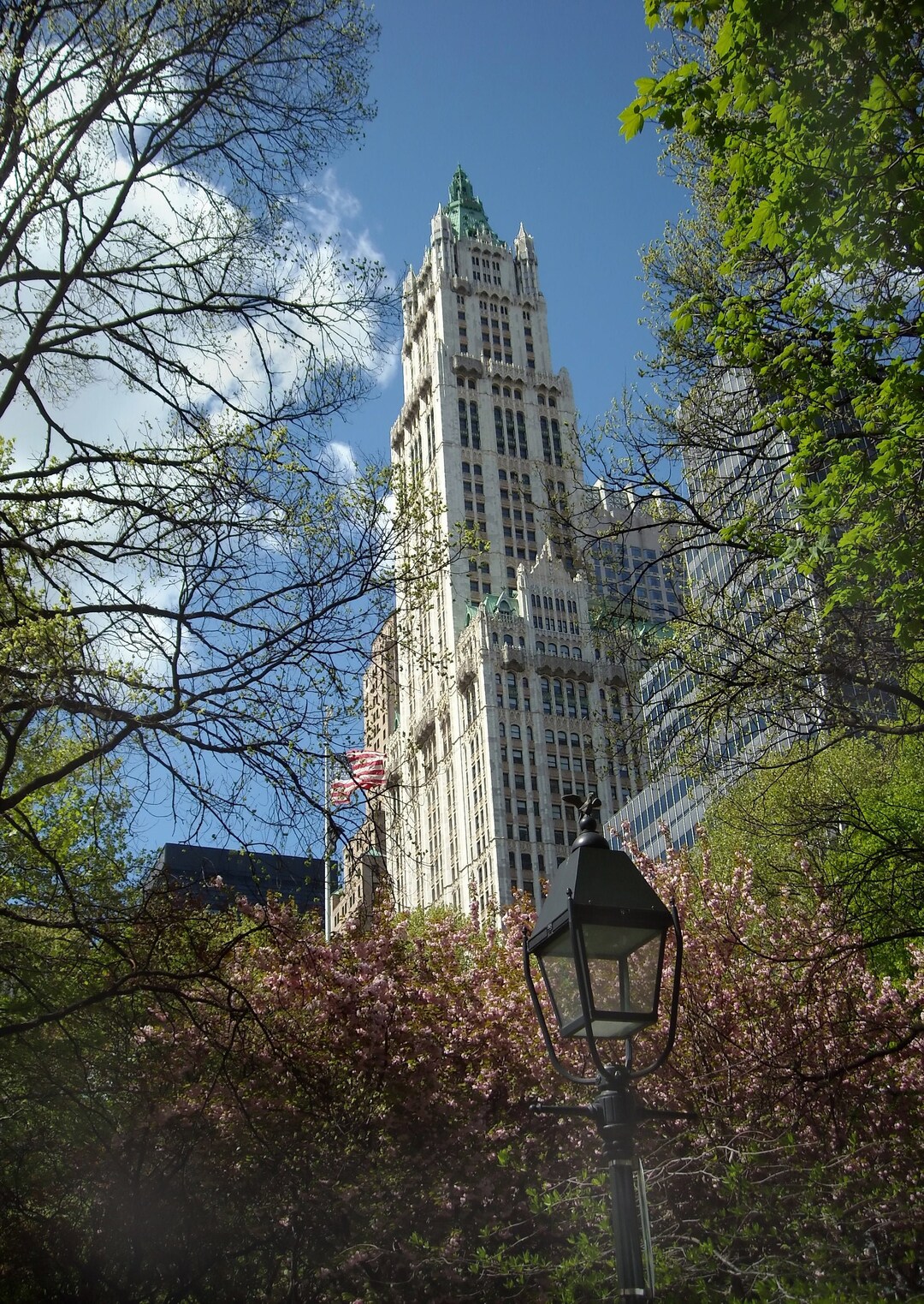 Fine Art Print, F.w.woolworth Building, New York City - Etsy
