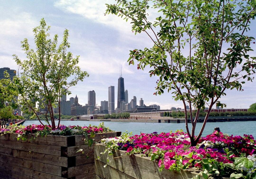 Fine Art Print, Chicago Skyline, Navy Pier, Hancock Building, Urban ...