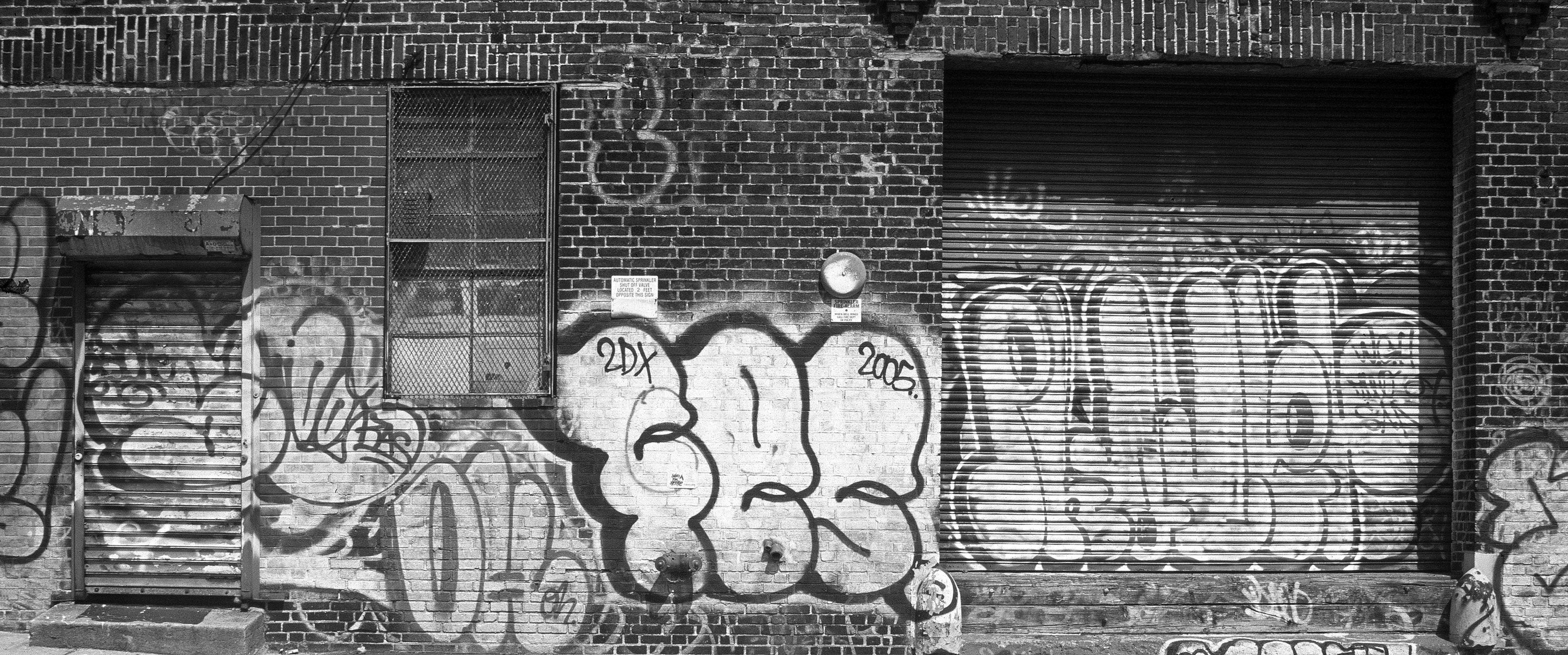 Peel and Stick, Graffiti, Print, Decal, Wallpaper, Brooklyn Factory ...