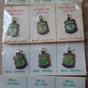 Lot of 12x Vintage Sterling Silver and Enamel Shield Charms - Etsy UK