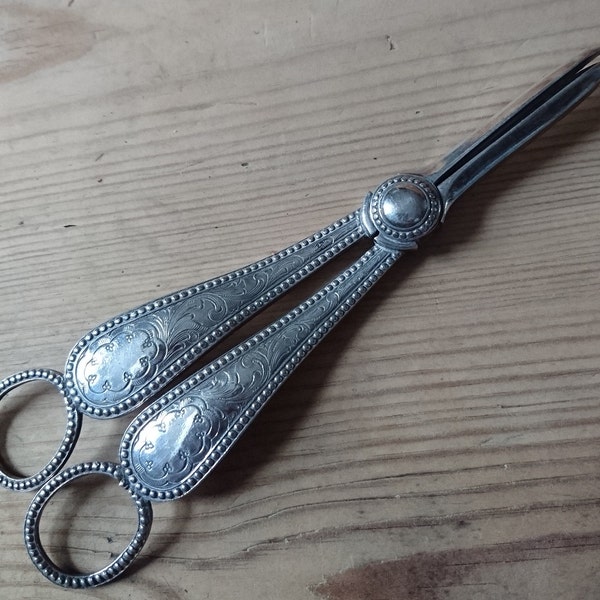 Grape Scissors - Etsy