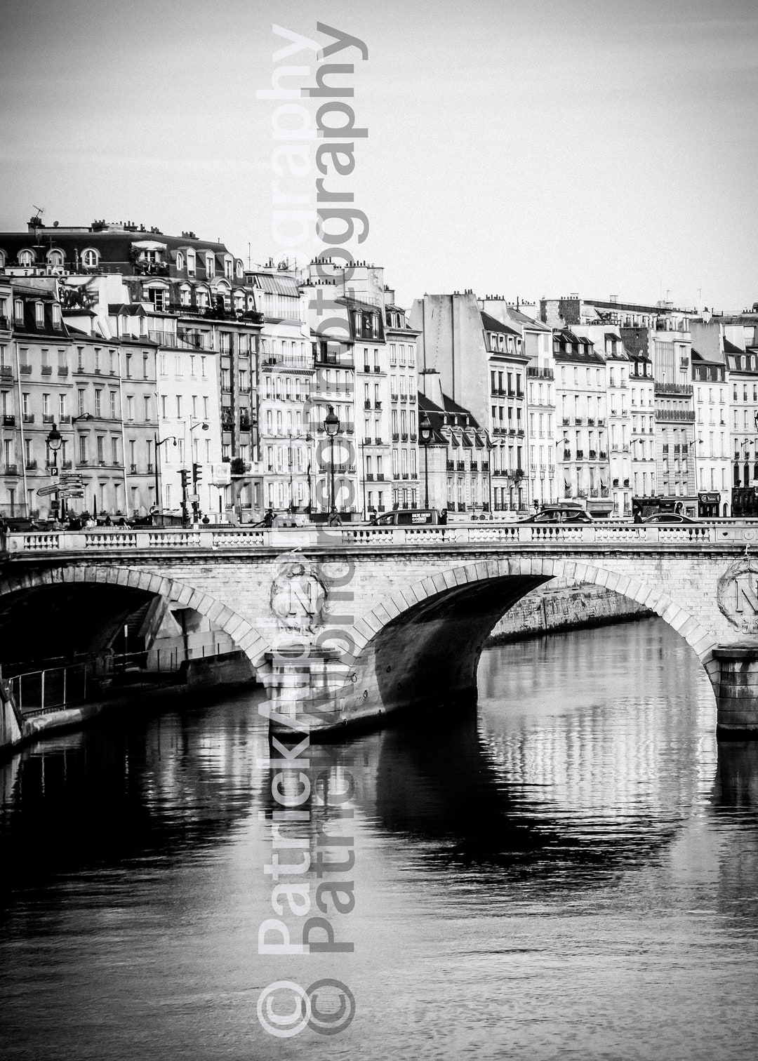 Seine River Vertical French Architecture (vertical) - Paris, France - B ...