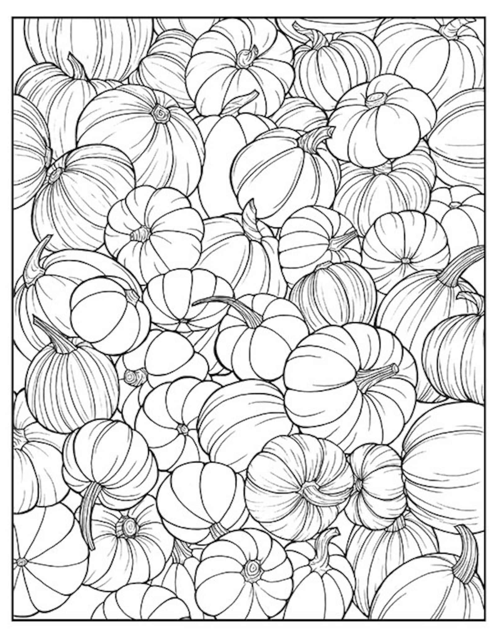 Pumpkin Patch, Fall Autumn Coloring Page for Kids and Adults | Digital ...