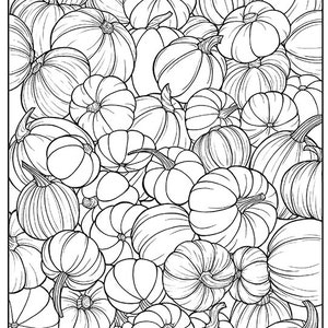 Pumpkin Patch, Fall Autumn Coloring Page for Kids and Adults | Digital ...