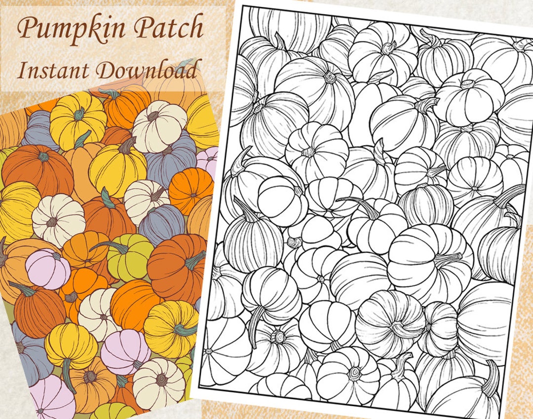 Pumpkin Patch, Fall Autumn Coloring Page for Kids and Adults NO AI ...