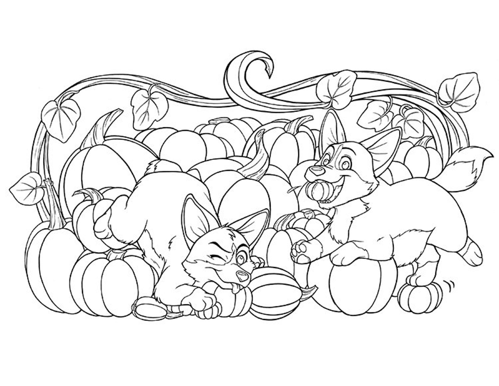 Pupkin Patch, A Fall Autumn Coloring Page With Corgi Puppies and ...